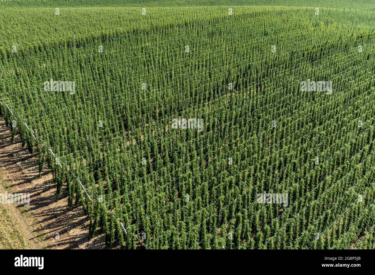 Continuous photograph hi-res stock photography and images - Alamy