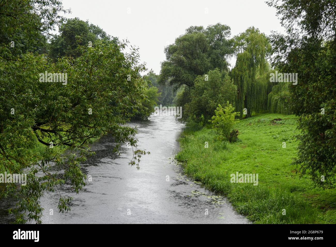 Landscape river forest during rain hi-res stock photography and images ...