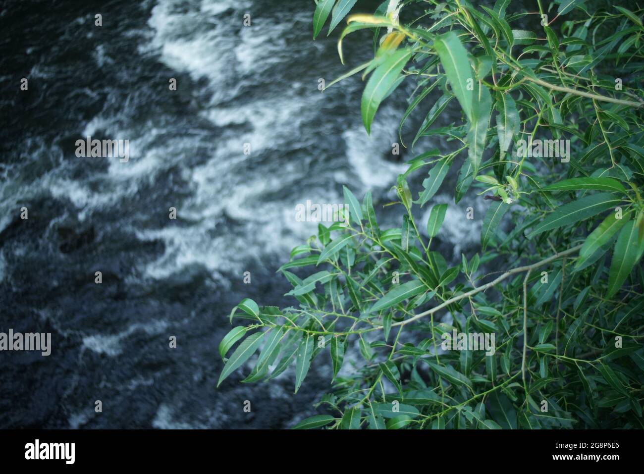 River landscape with natural environment besides serving an intact ...