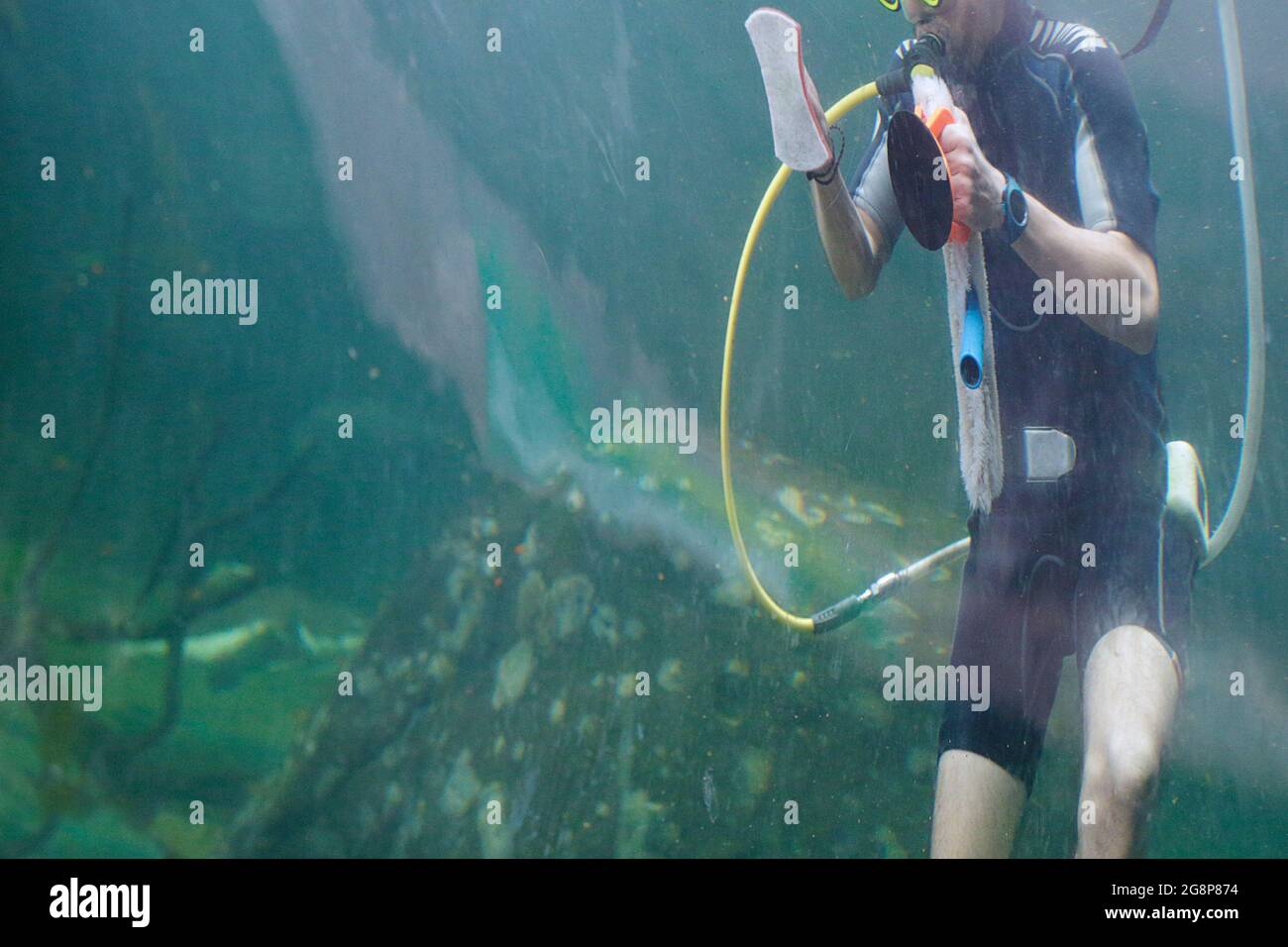 Professional diver at work underwater hi-res stock photography and ...