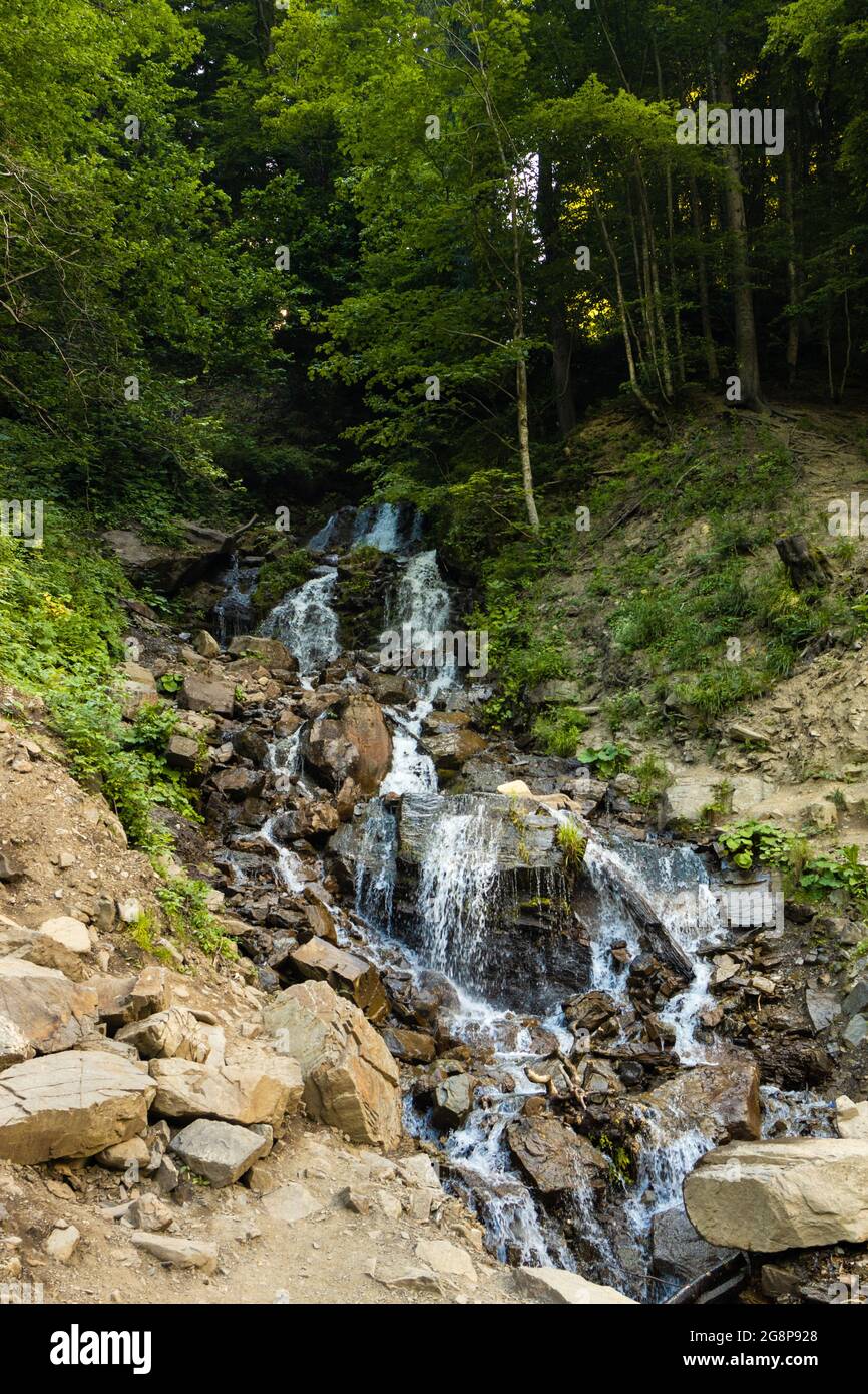 beautiful waterfall in green deep forest in summer. Pleasant ...