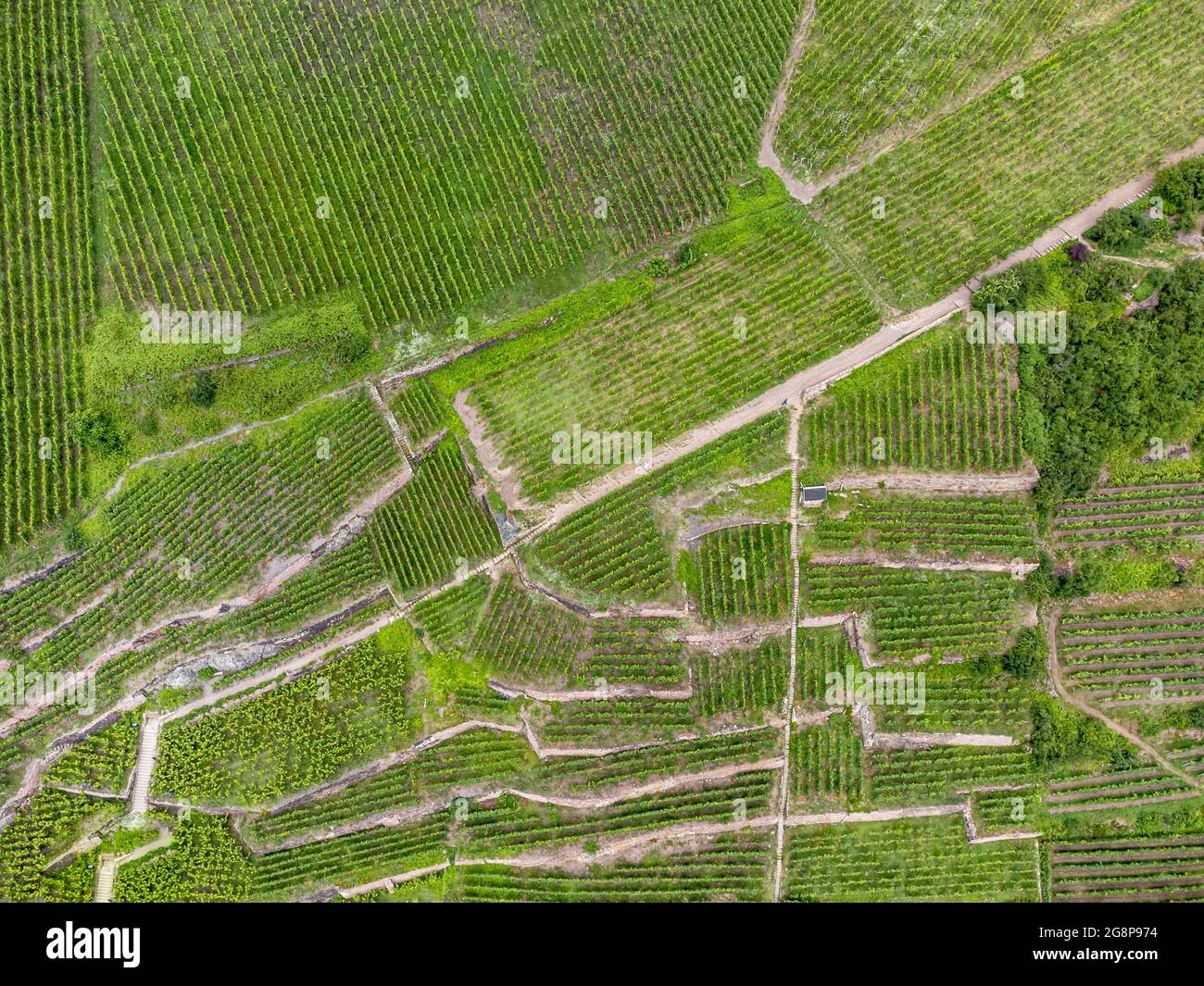 Birds eye view of a vineyard hi-res stock photography and images - Alamy