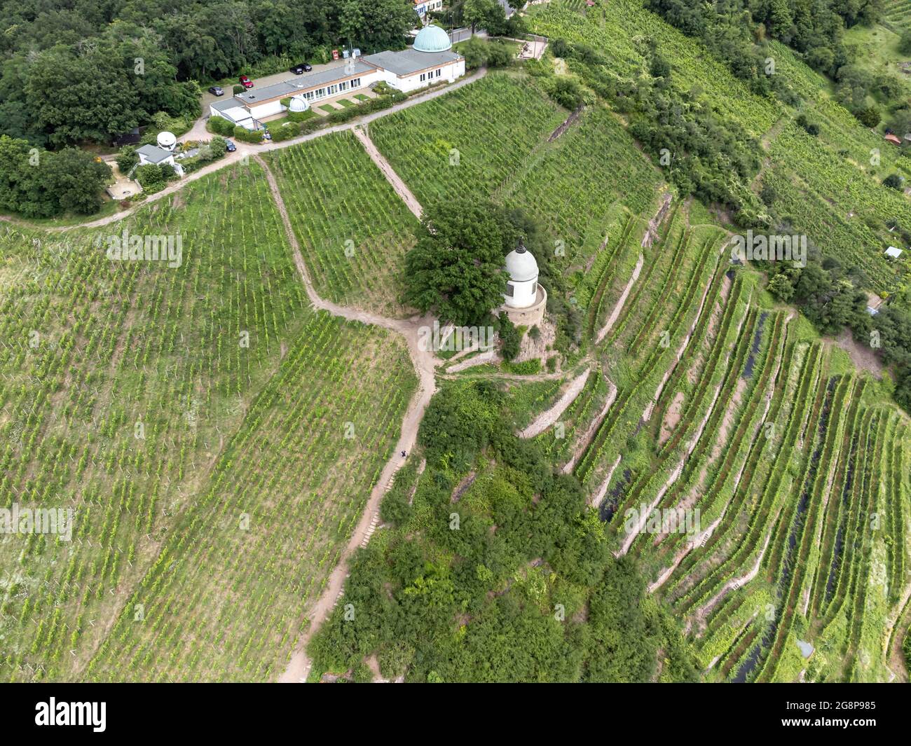 Vineyards from above aerial drone hi-res stock photography and images ...