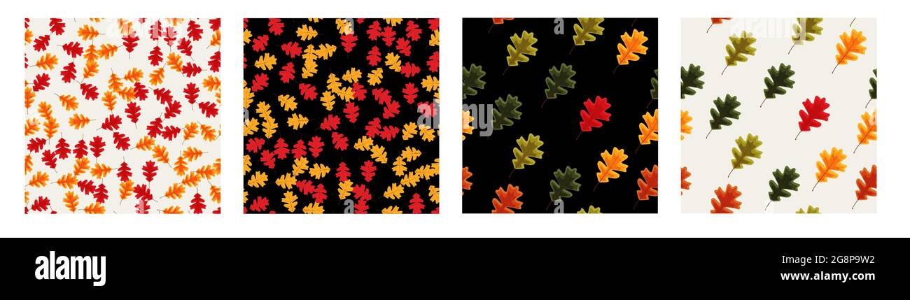 Autumn Falling Leaves Seamless Pattern Background Collection Set ...