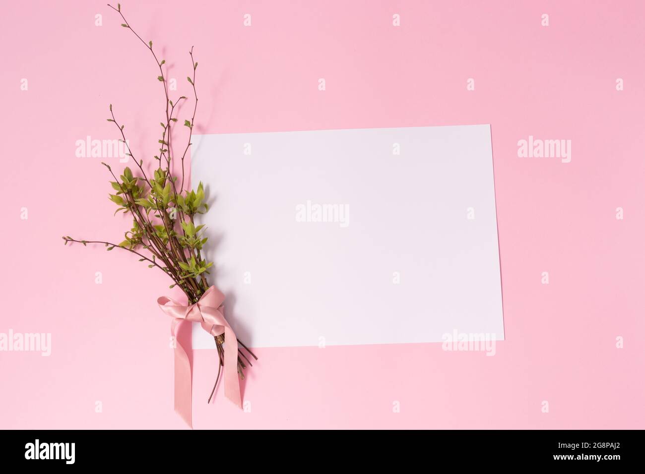 Twigs with first leaves tied with a ribbon on a white blank paper. Mock ...