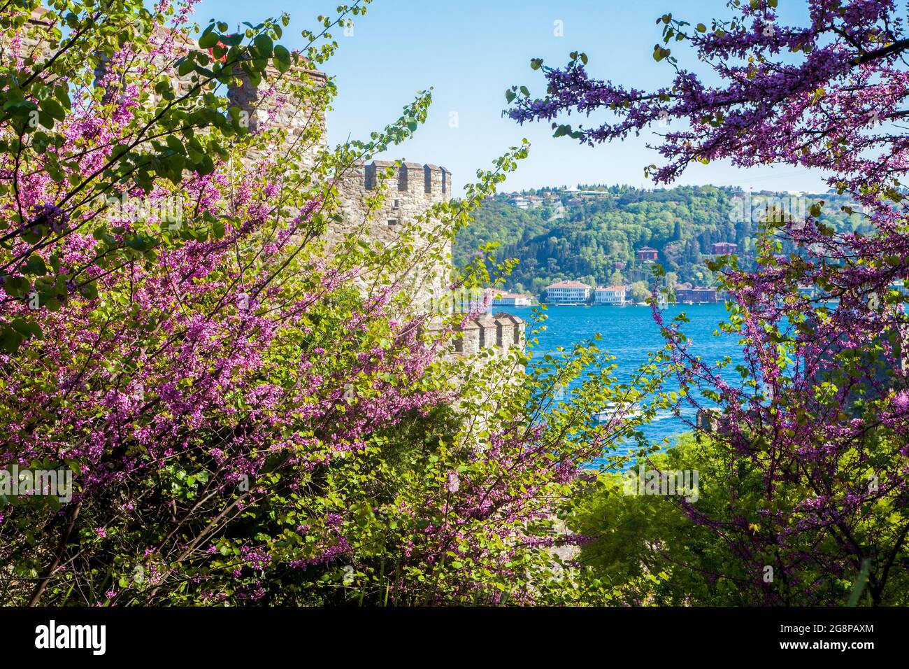 View of Rumeli Castle and bosphorus Stock Photo - Alamy