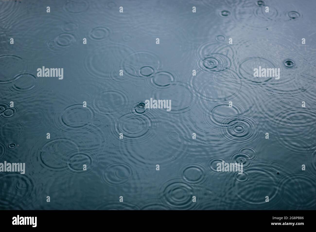 rain drops on the surface of water in a puddle with graduated shade of ...