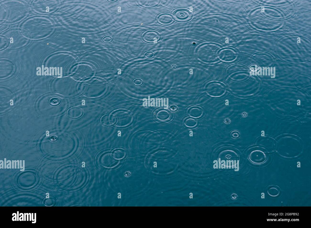 rain drops on the surface of water in a puddle with graduated shade of ...