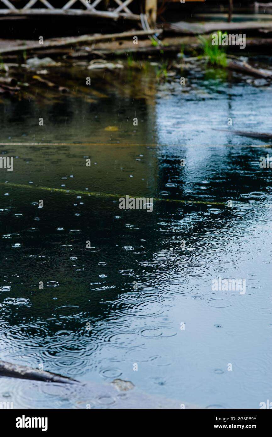 rain drops on the surface of water in a puddle with graduated shade of ...