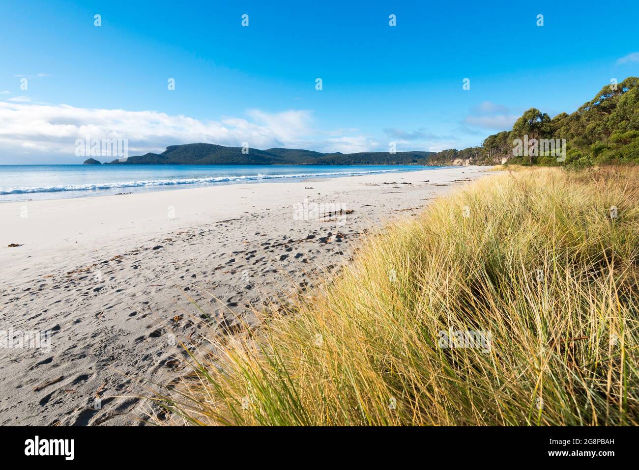 Tasmanian beaches hi-res stock photography and images - Alamy