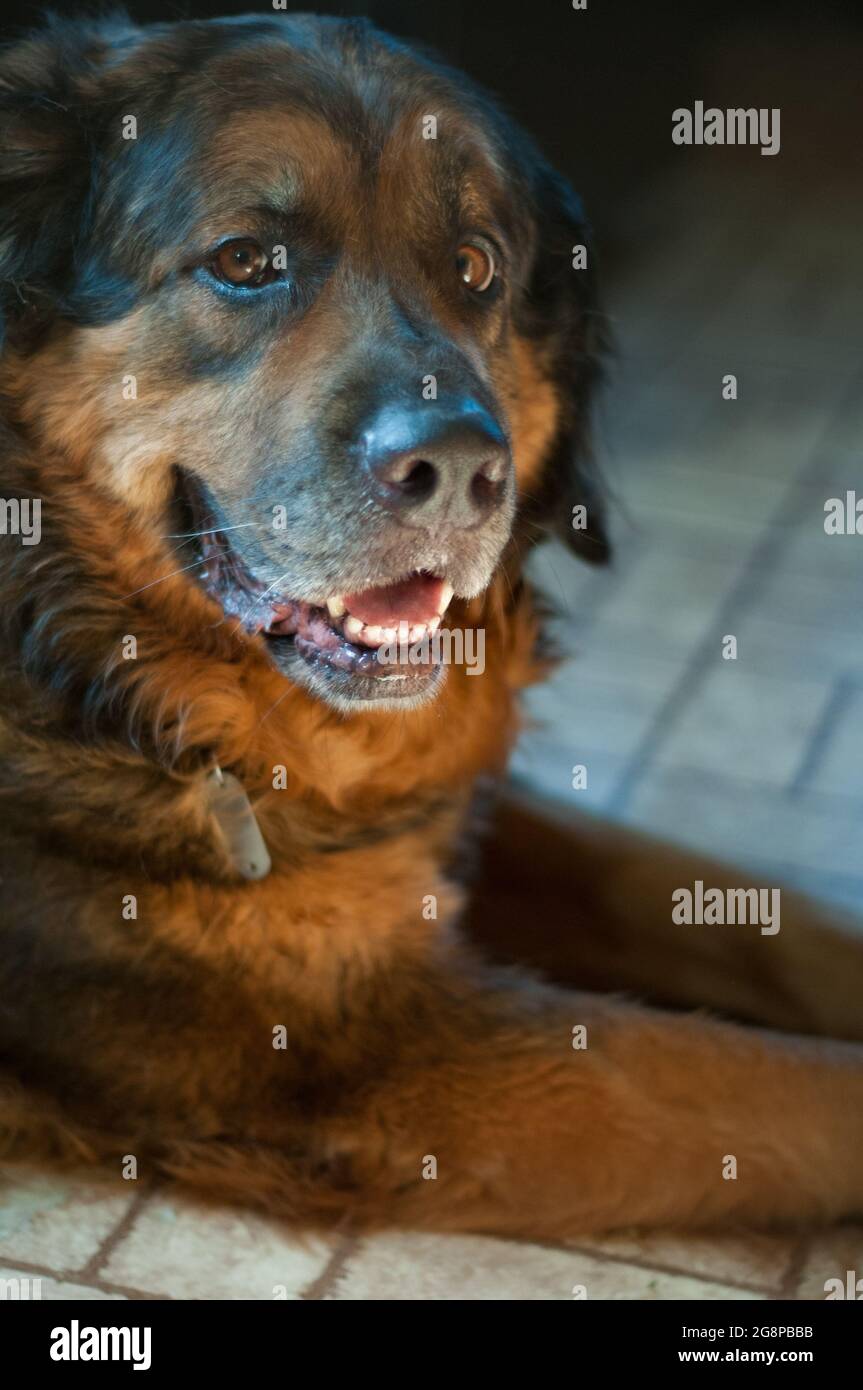 Best firnd hi-res stock photography and images - Alamy