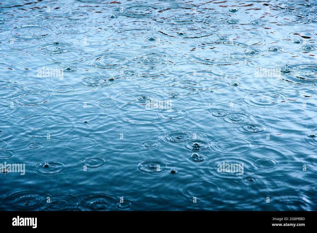 rain drops on the surface of water in a puddle with graduated shade of ...
