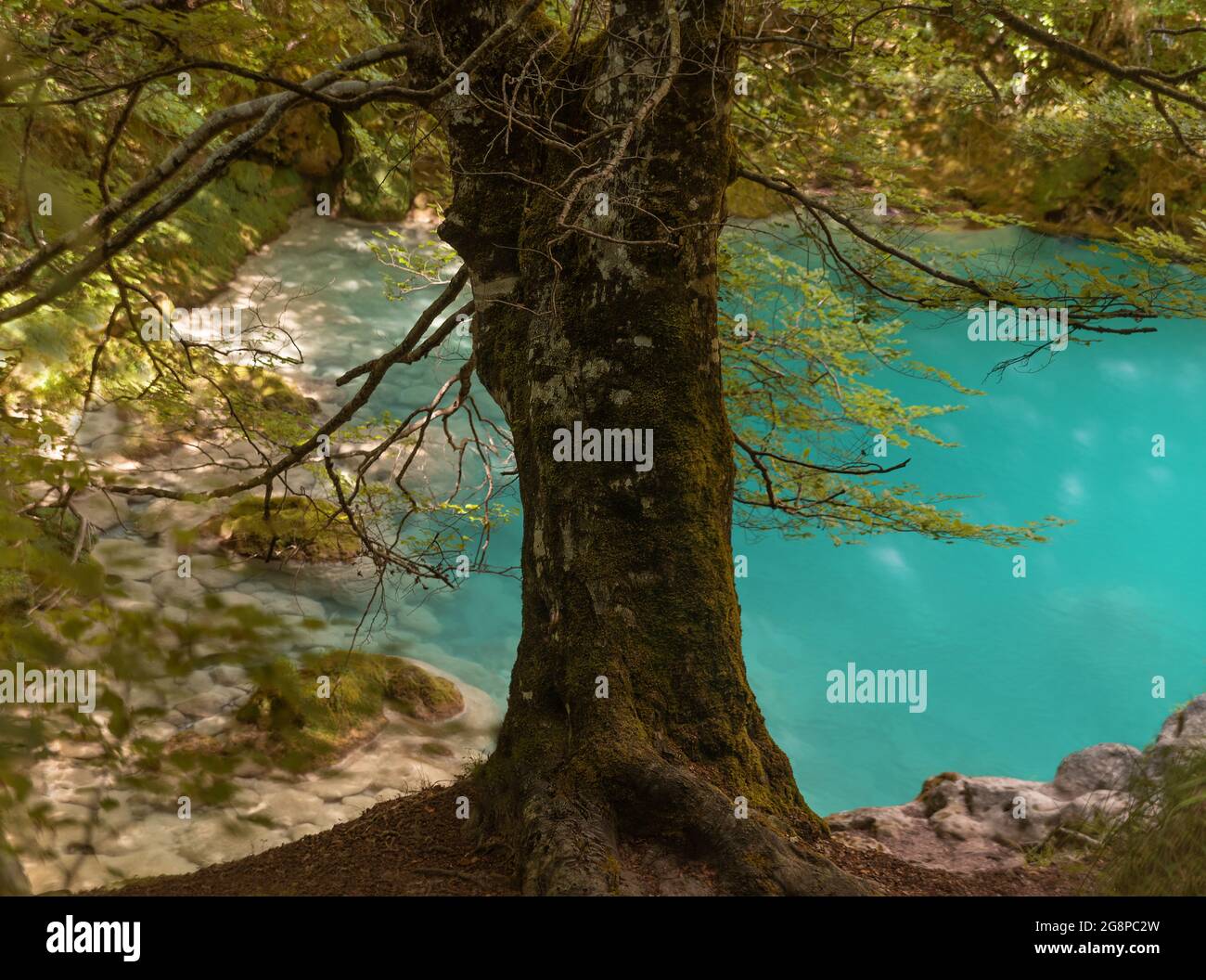 blue river water in a forest Stock Photo - Alamy