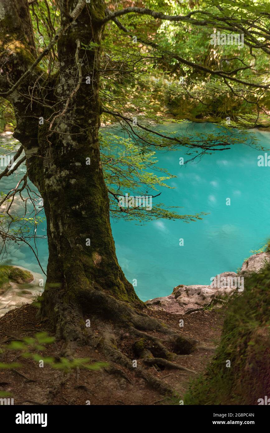 blue river water in a forest Stock Photo - Alamy