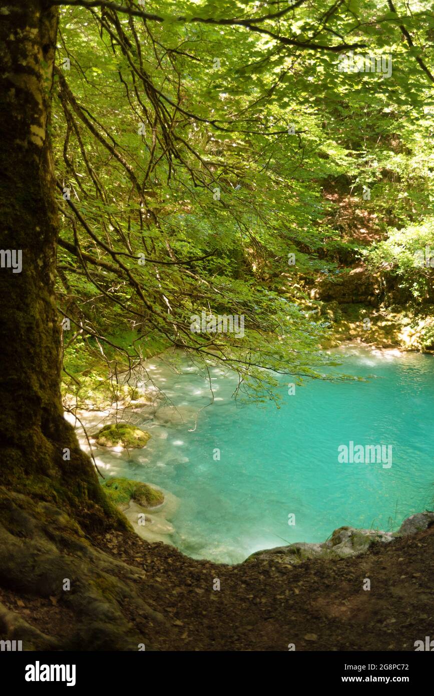 blue river water in a forest Stock Photo - Alamy