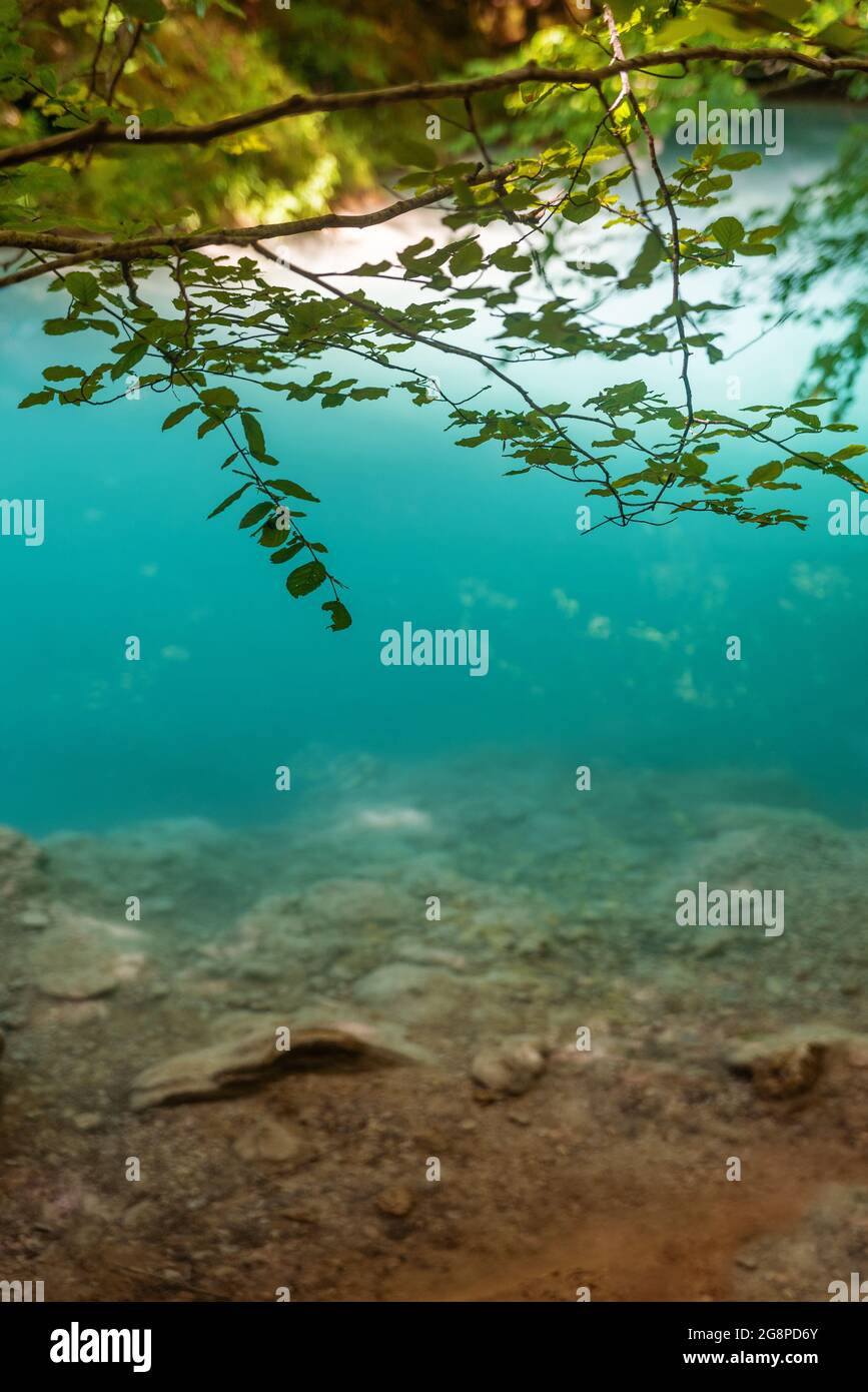 blue river water in a forest Stock Photo - Alamy