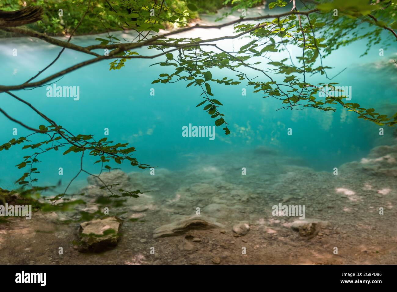 blue river water in a forest Stock Photo - Alamy