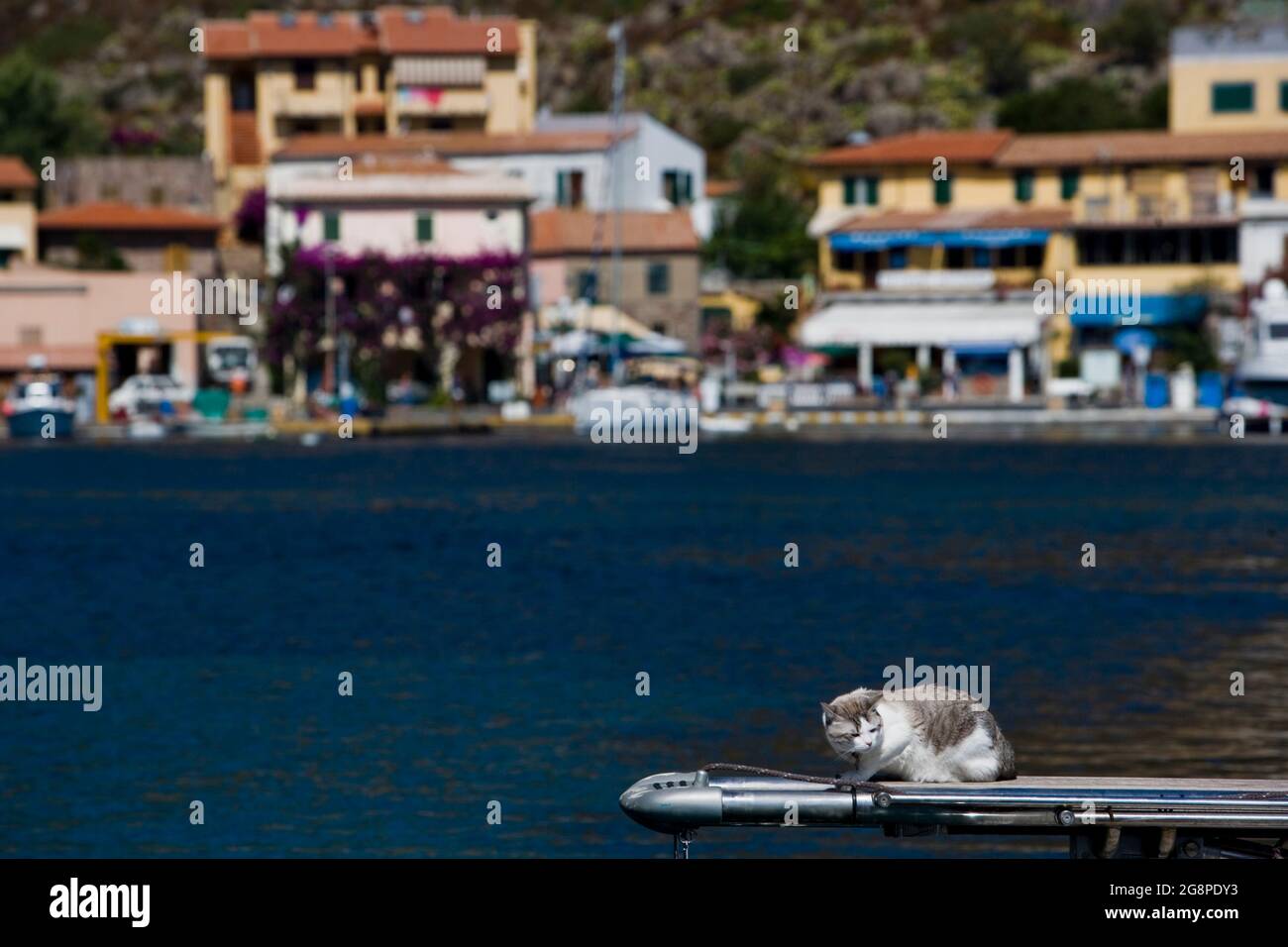 Capraia island tuscany hi-res stock photography and images - Alamy