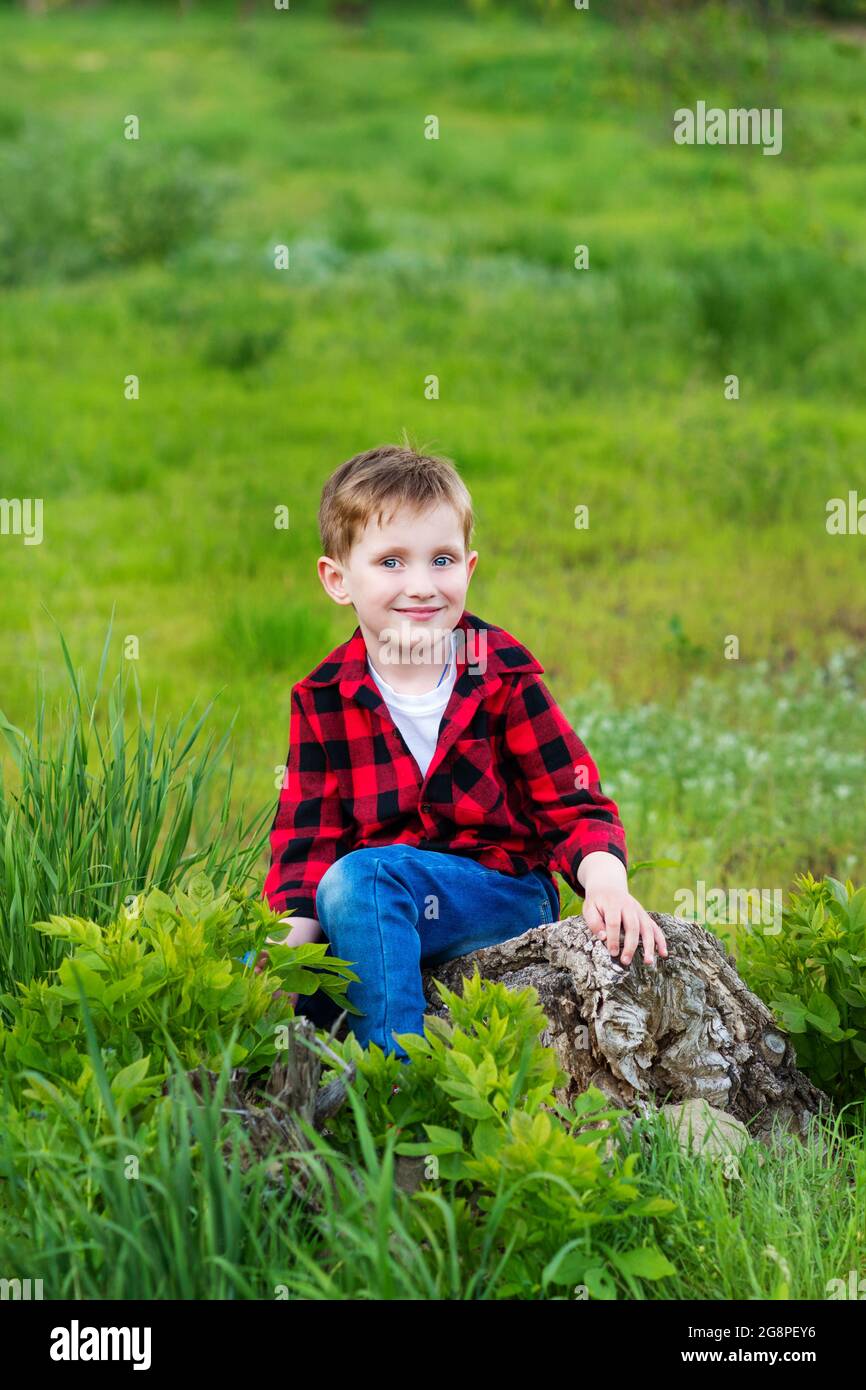 Portrait of a cute little boy in a red plaid shirt on a background of ...