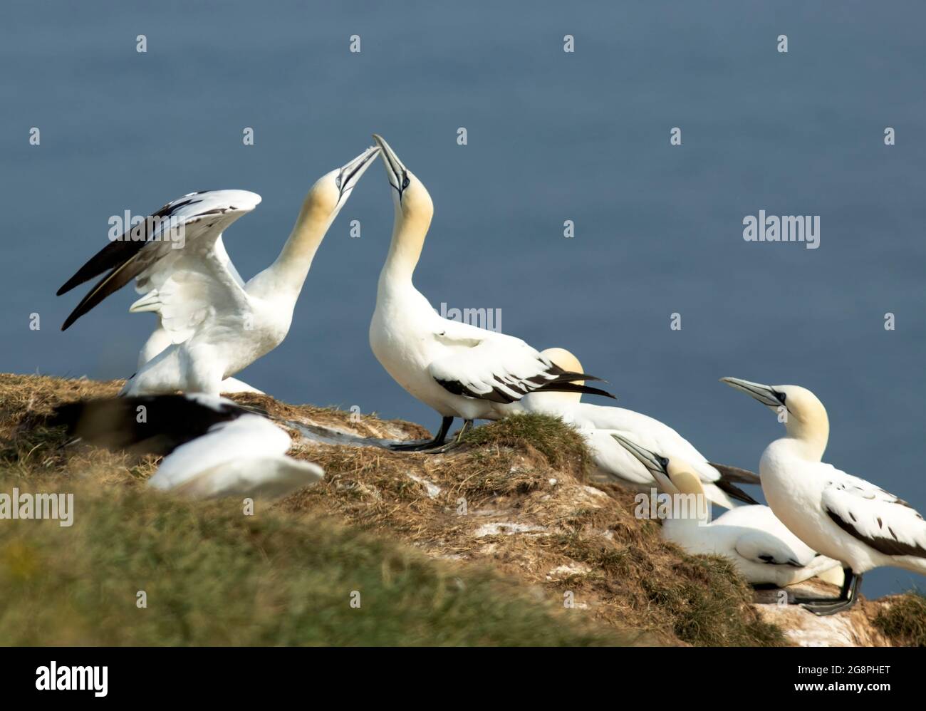 Clattering hi-res stock photography and images - Alamy