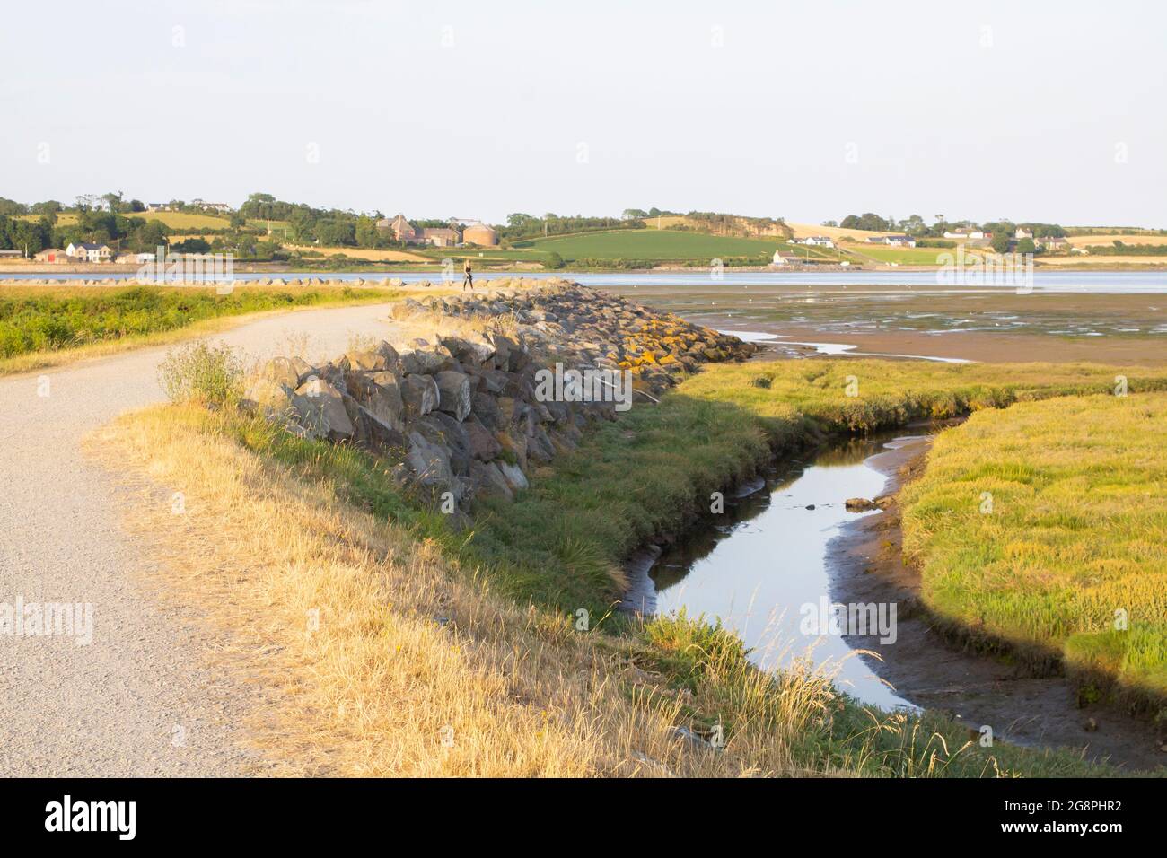 19 July 2021 Mud Flats and long grasses at the Floodgates Walk on the ...
