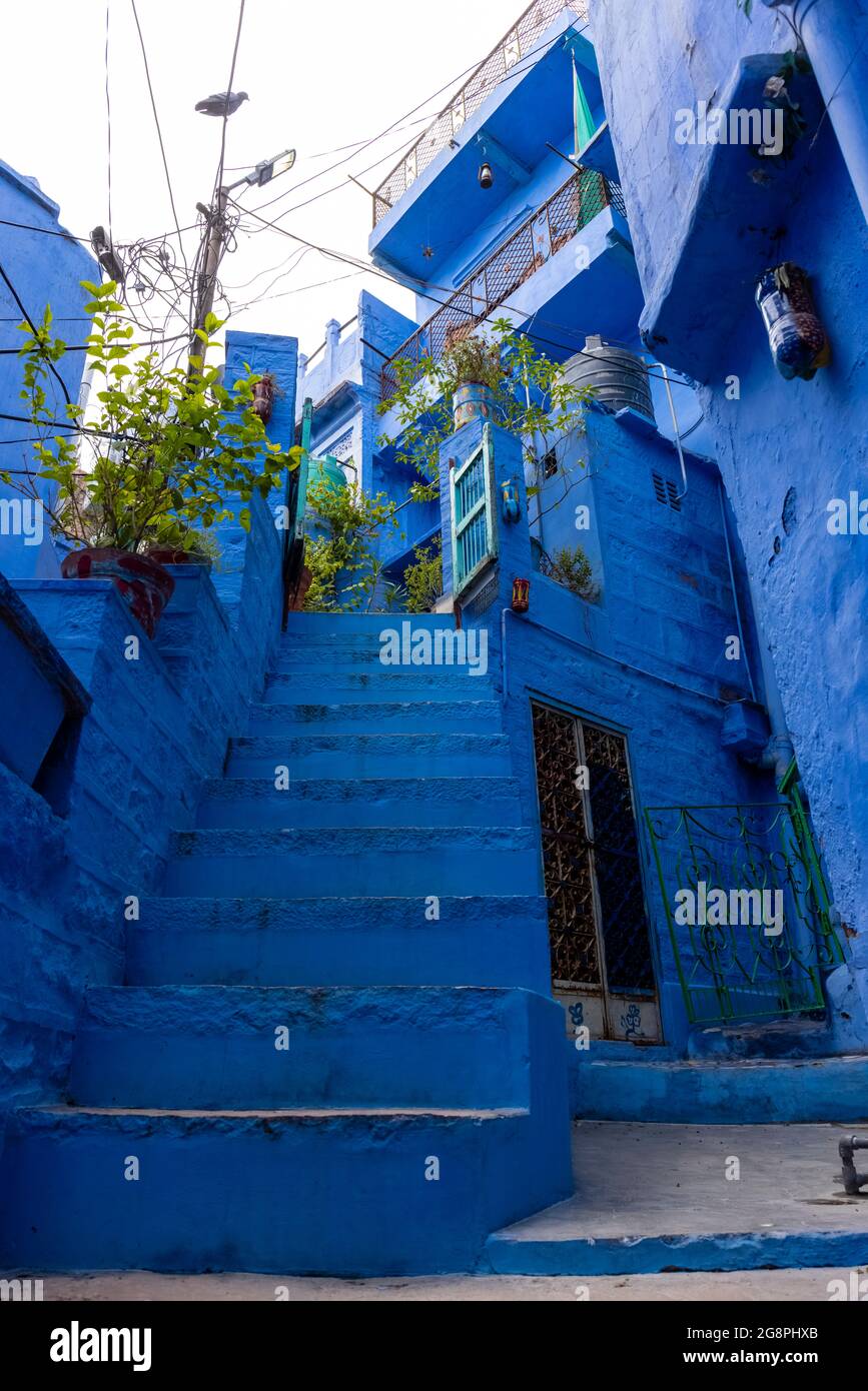 JODHPUR, RAJASTHAN, INDIA - JULY 2021: The bright blue color street and ...