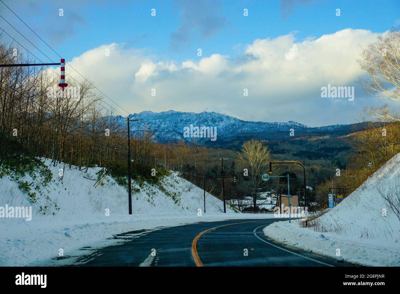 Beautiful Winter Landscape with Winter forest under the snow , powder ...