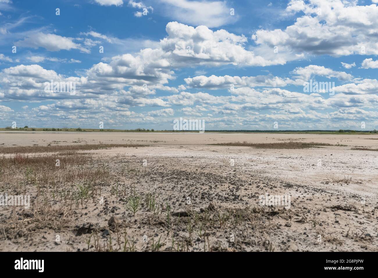 Salty marsh soil hi-res stock photography and images - Alamy