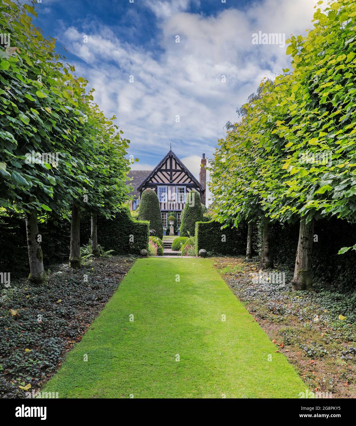 Pleached hi-res stock photography and images - Alamy