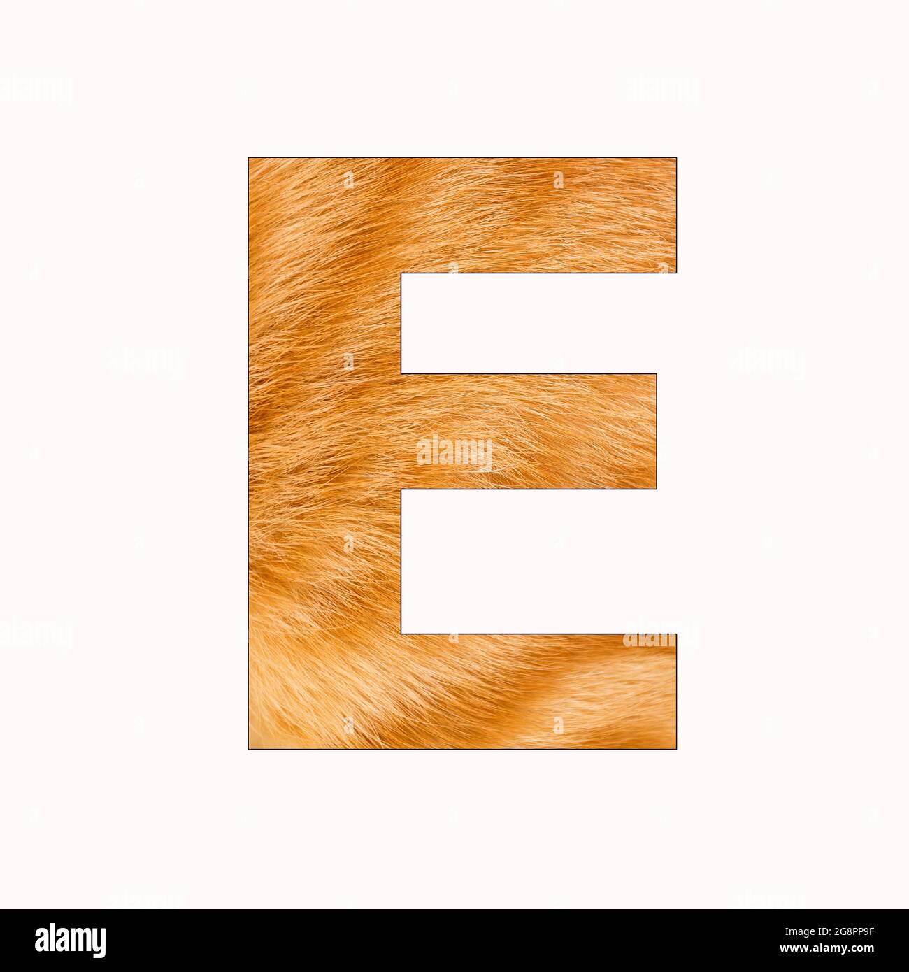 Alphabet Letter E - Cat Fur Background Stock Photo - Alamy