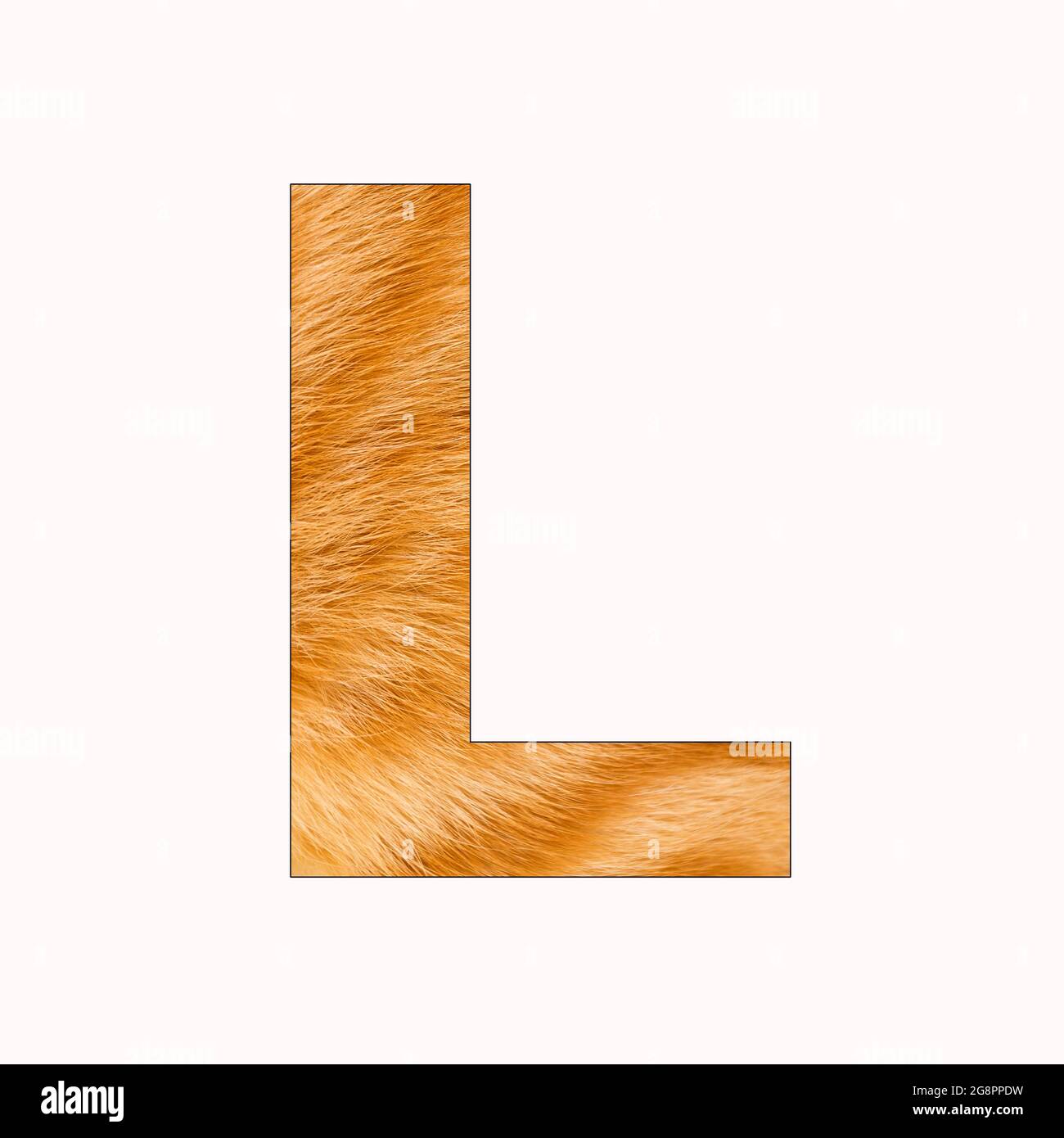 L letter uppercase alphabet - Yellow Cat Fur Background Stock Photo - Alamy