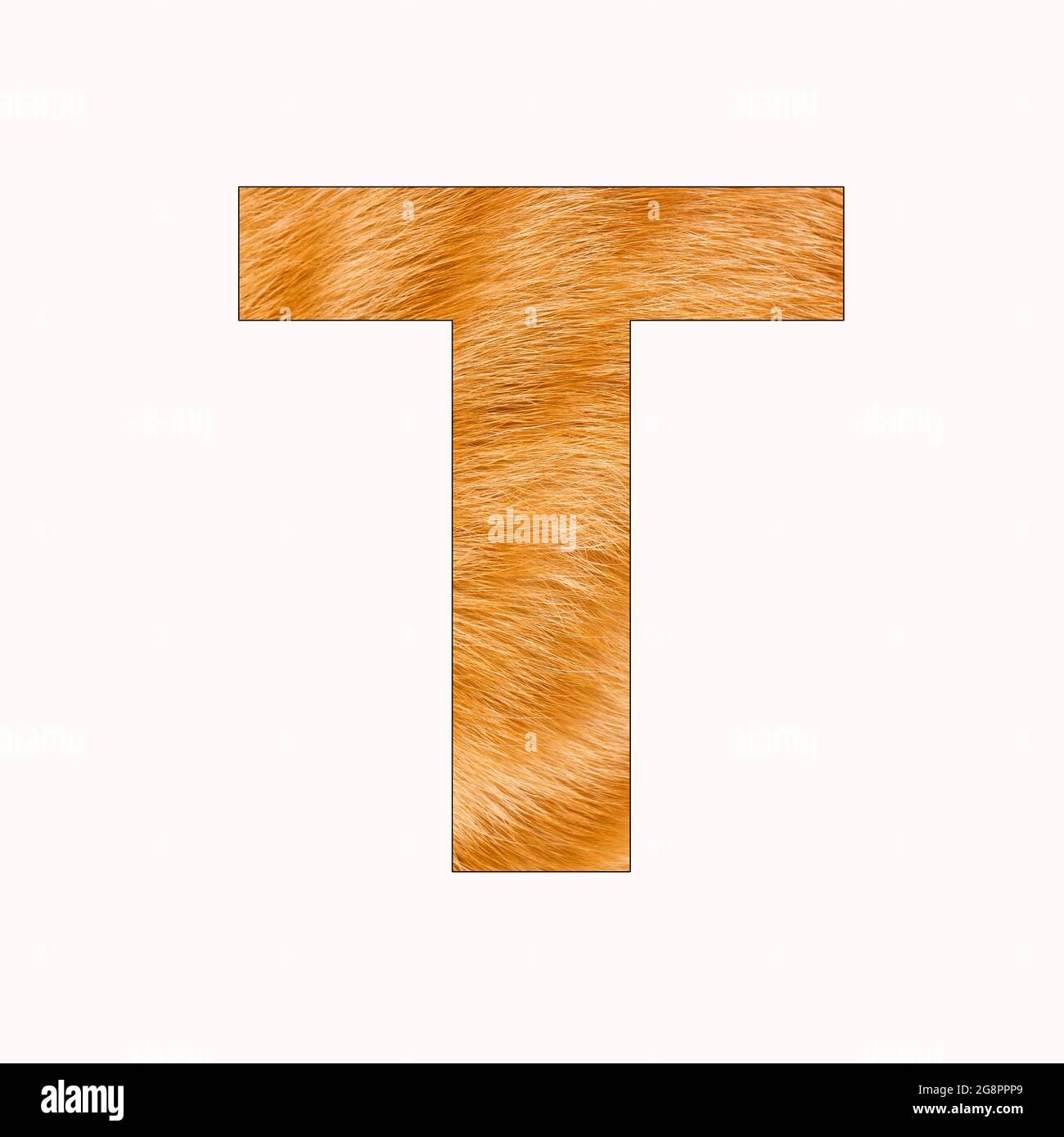 Alphabet Letter T - Cat Fur Background Stock Photo - Alamy