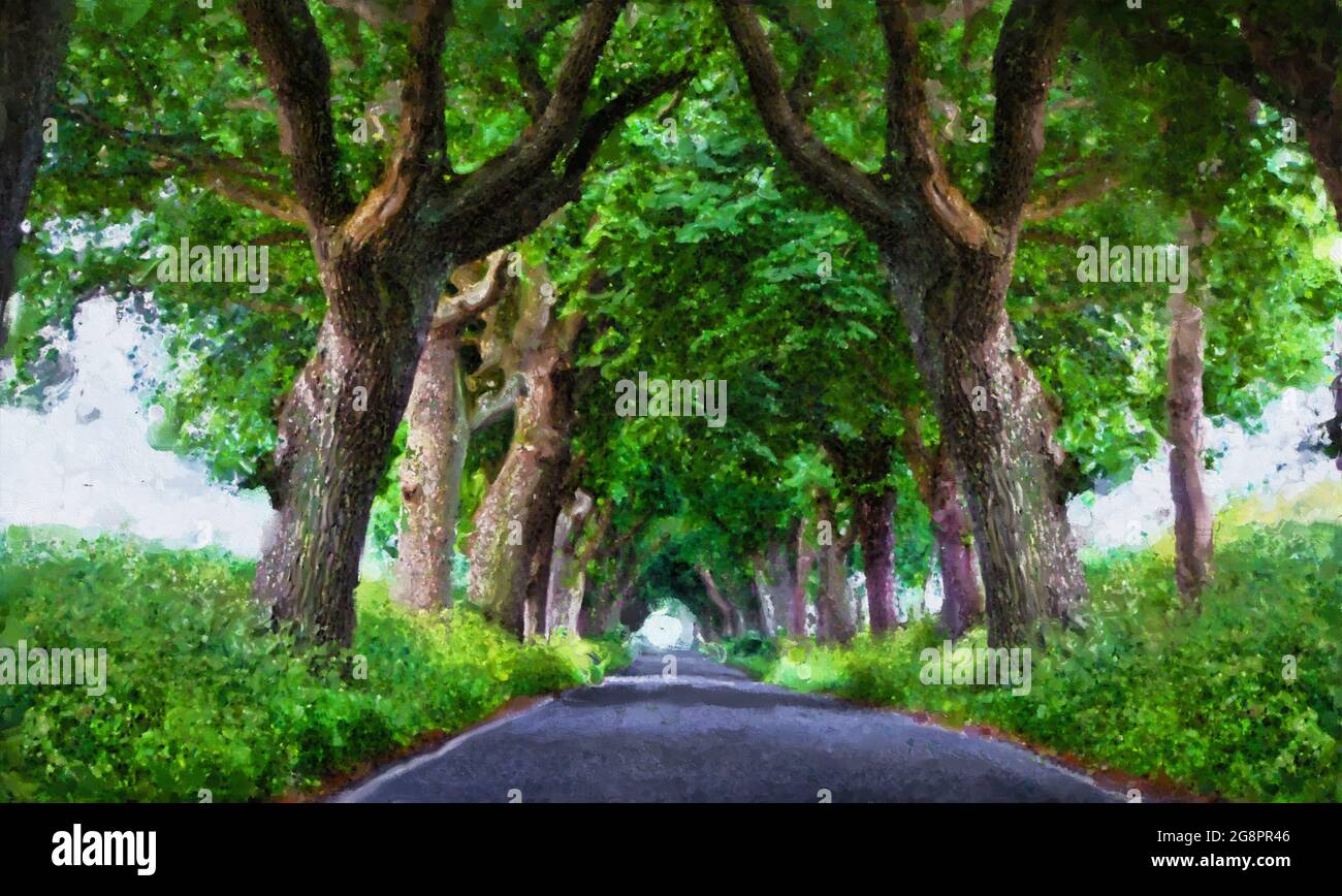 Painted old street tree-lined avenue on island of Ruegen Stock Photo ...