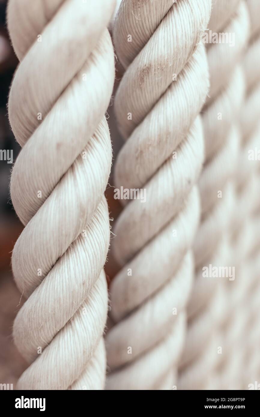 Portal cutout hi-res stock photography and images - Alamy