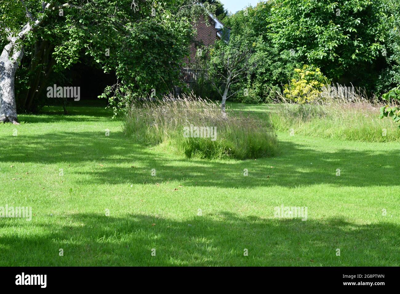 Natural habitat enhance hi-res stock photography and images - Alamy