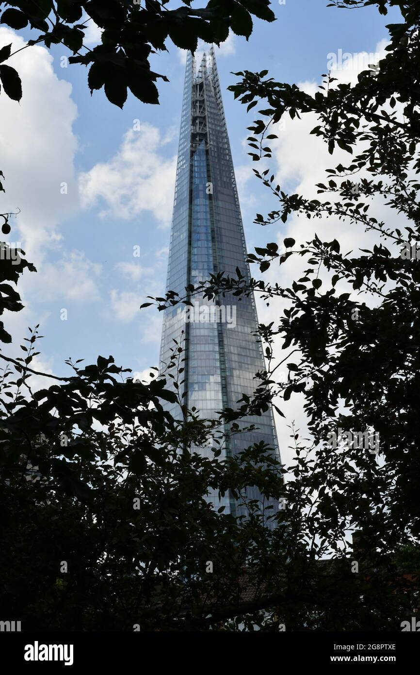 Low angle view of The Shard London UK through trees and bushes on a ...