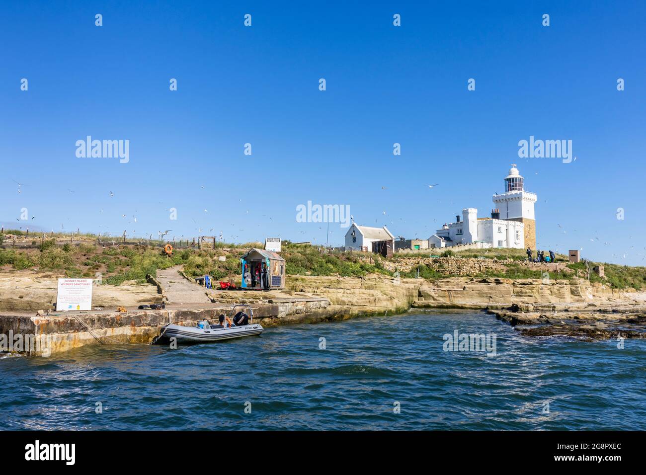 Lighthouse amble northumberland england hi-res stock photography and ...
