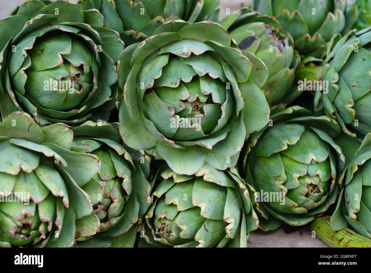 Crate of Green and purple artichokes at a farmers market in Brittany ...