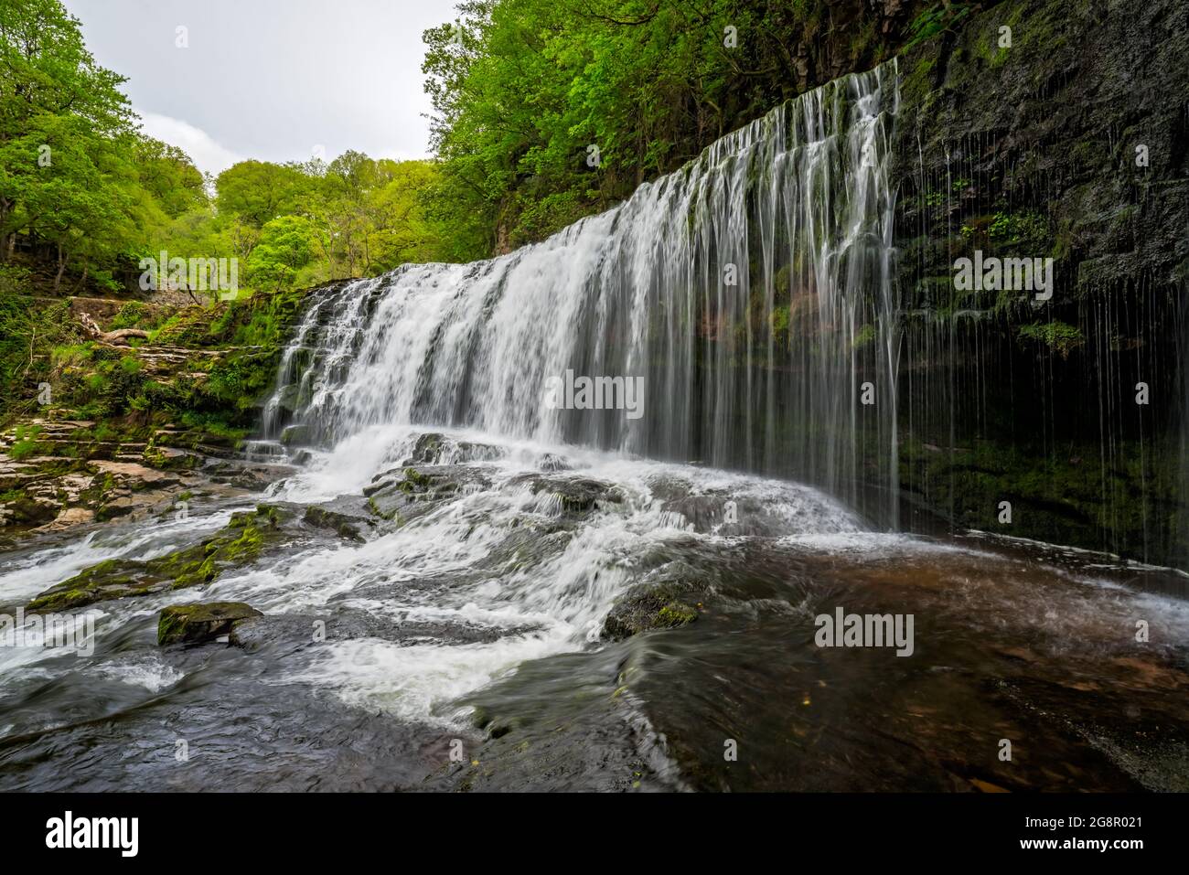 A waterfall surrounded by moss, trees, and stones in Ystradfellte Neath ...