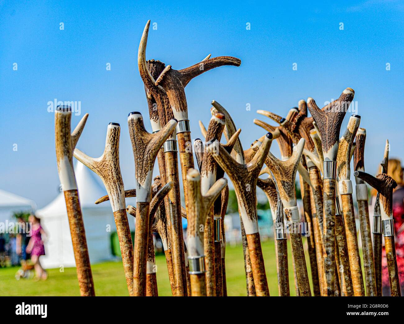 Antler stick hi-res stock photography and images - Alamy