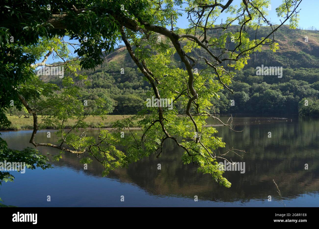 Cwm Rheidol Reservoir in Ceredigion,Wales,UK Stock Photo - Alamy