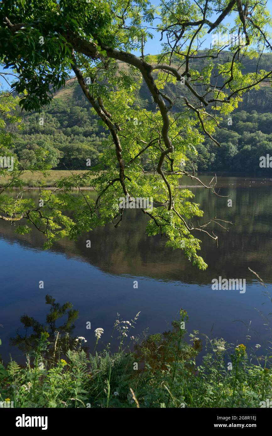 Cwm rheidol wales hi-res stock photography and images - Alamy