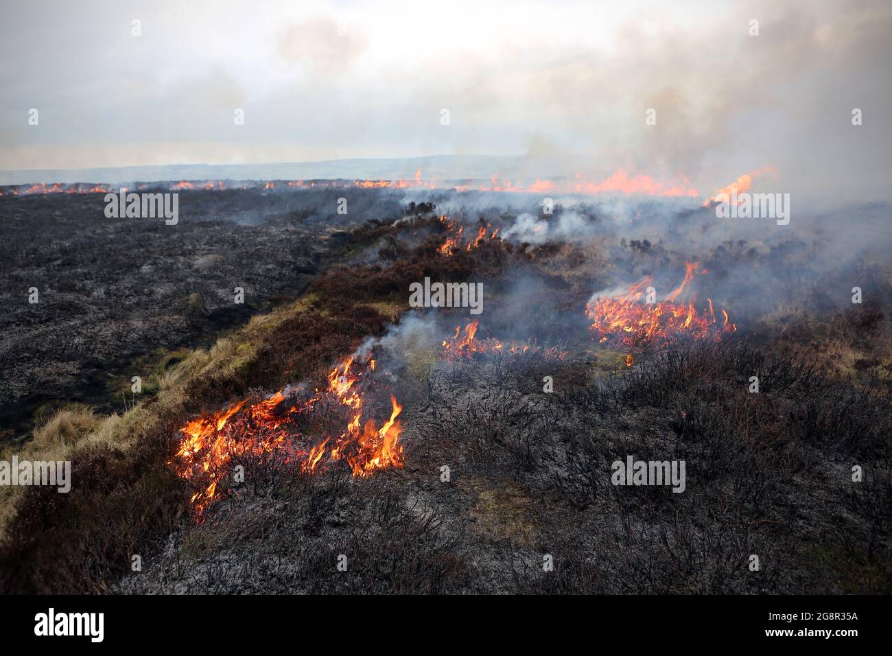 To its critics Moorland Burning is damaging to the environment, it ...