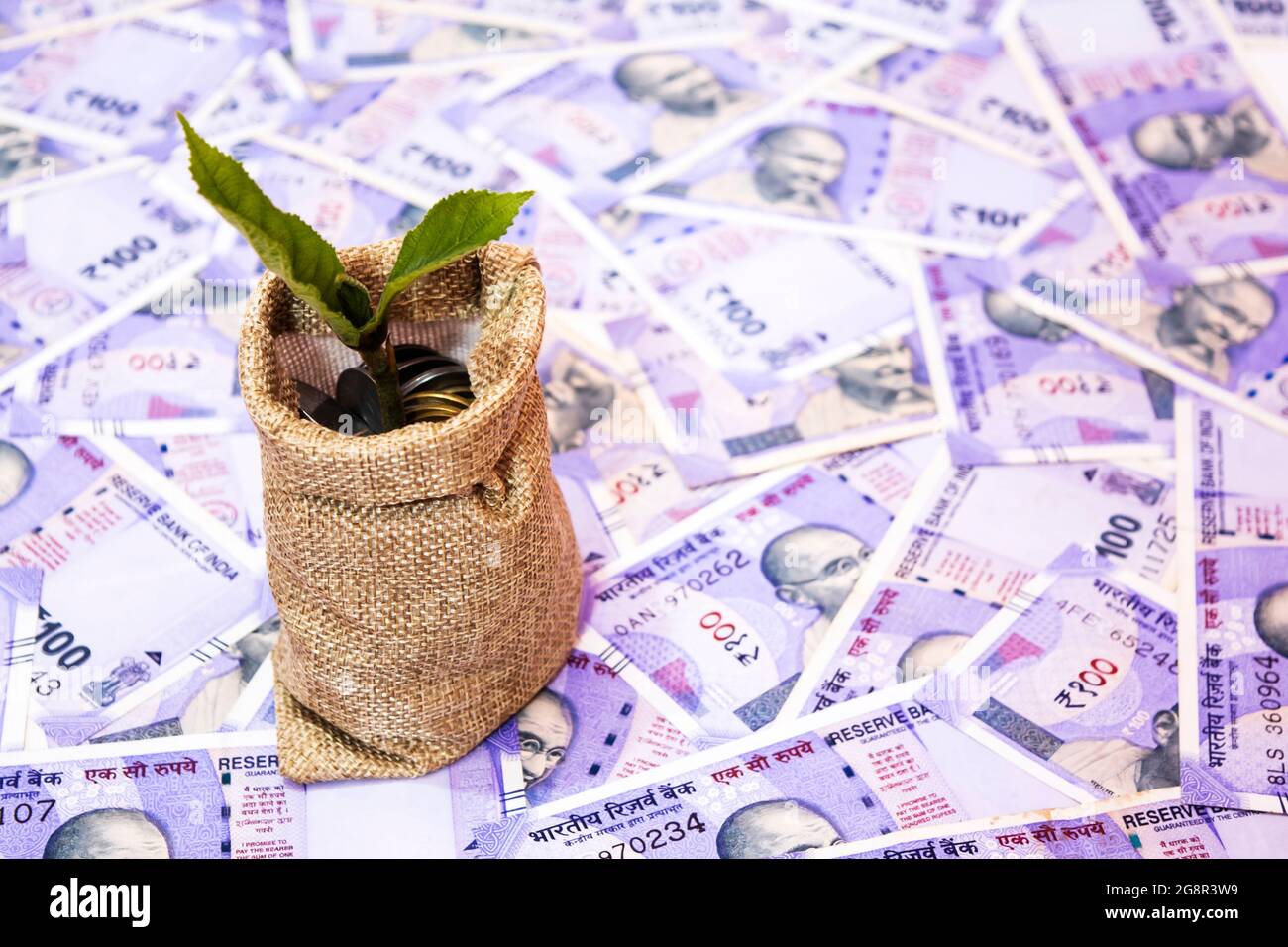 A plant growing from stack of Indian coin on Indian one hundred rupees ...