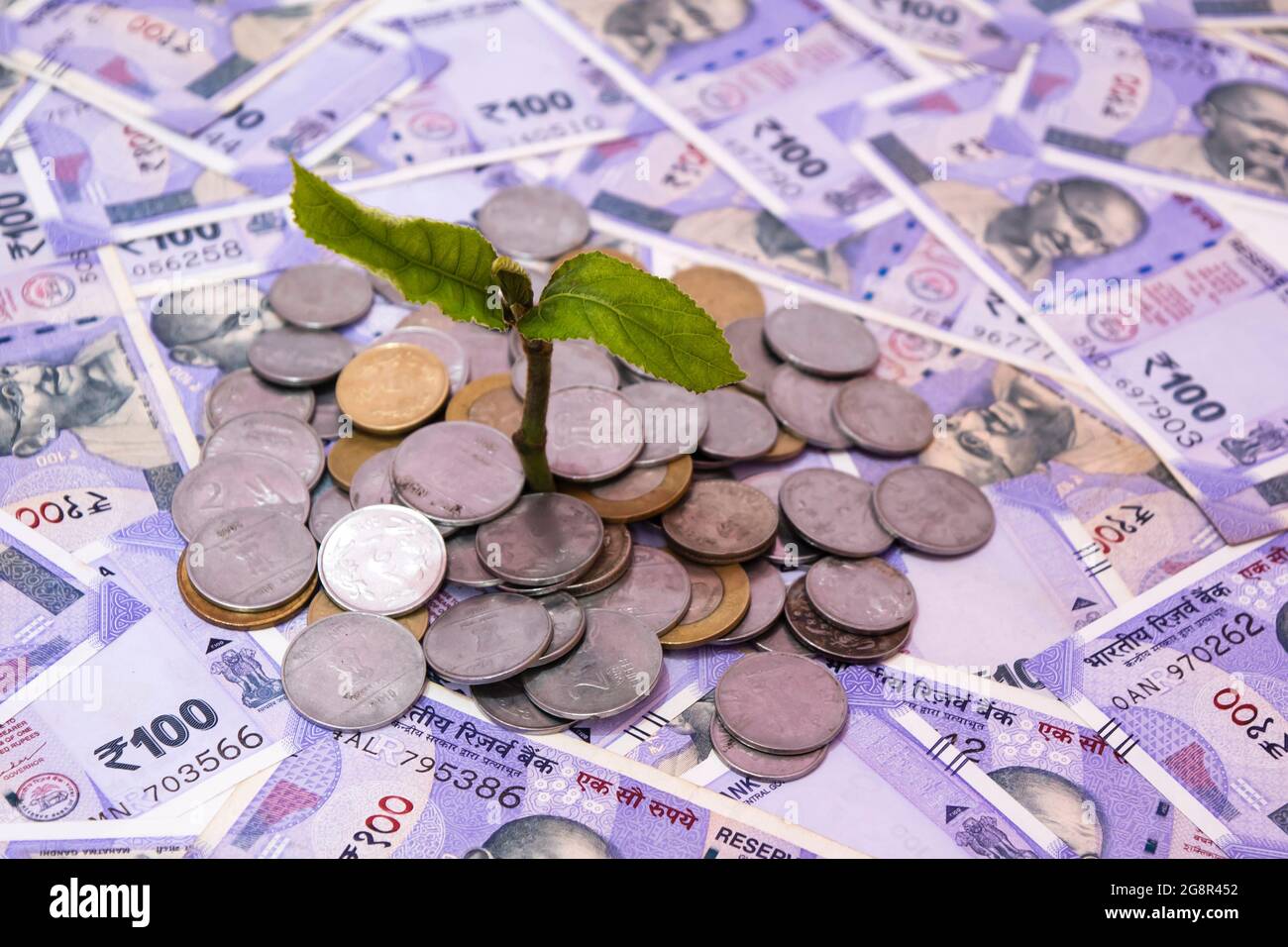 Green plant growing through a stack of Indian coins on one hundreds ...