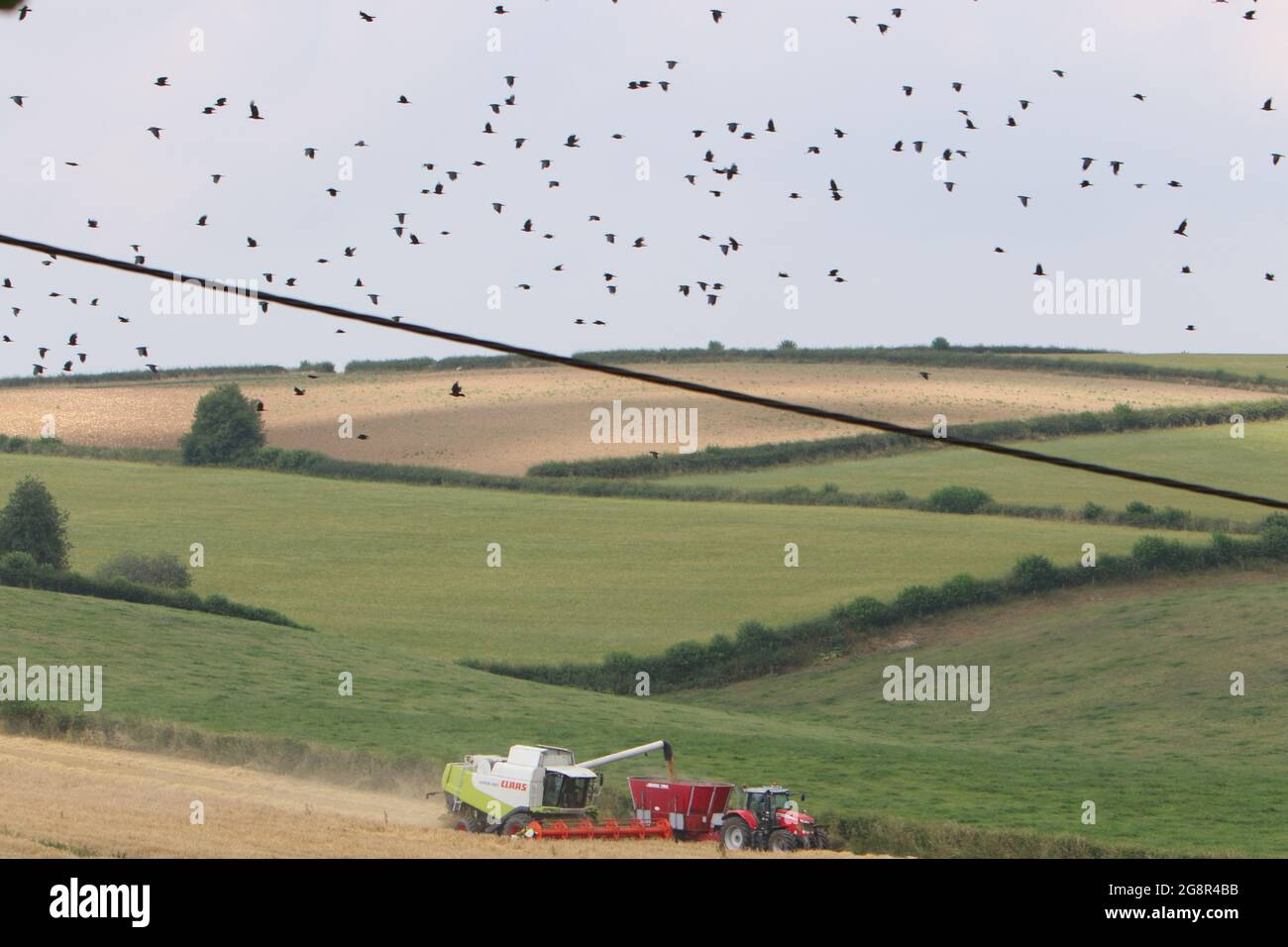 UK Weather: Farmers harvesting crops during heatwave in North Yorkshire ...