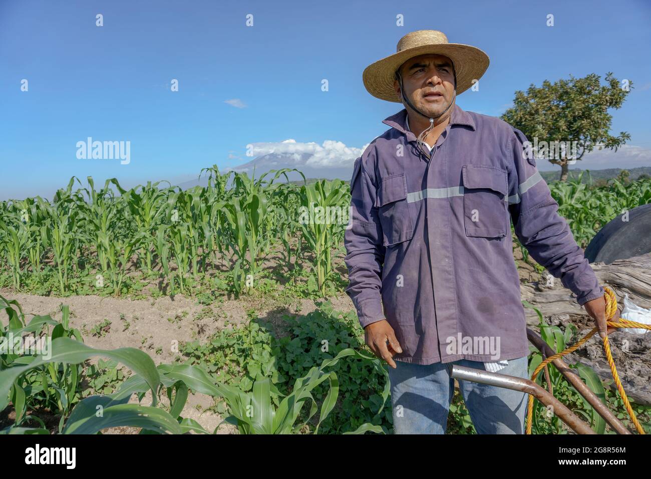 Corn farmer mexico hi-res stock photography and images - Alamy