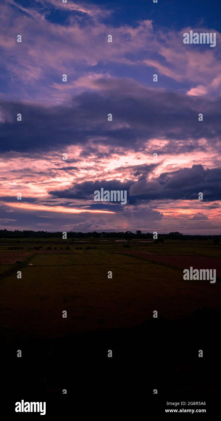 Vertical shot of farm field crops under a cloudy sky during a beautiful ...