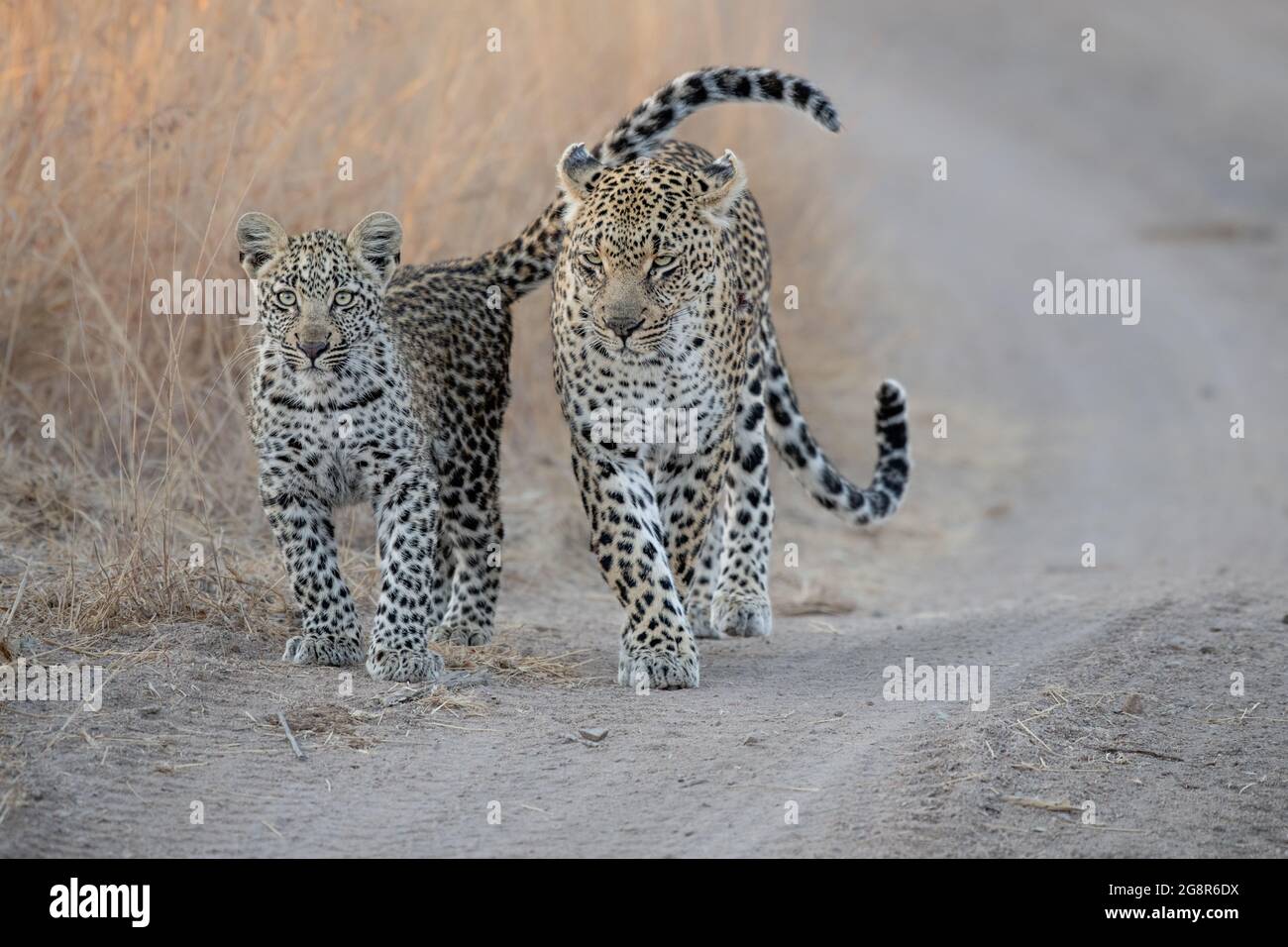 People walk along dirt road hi-res stock photography and images - Alamy