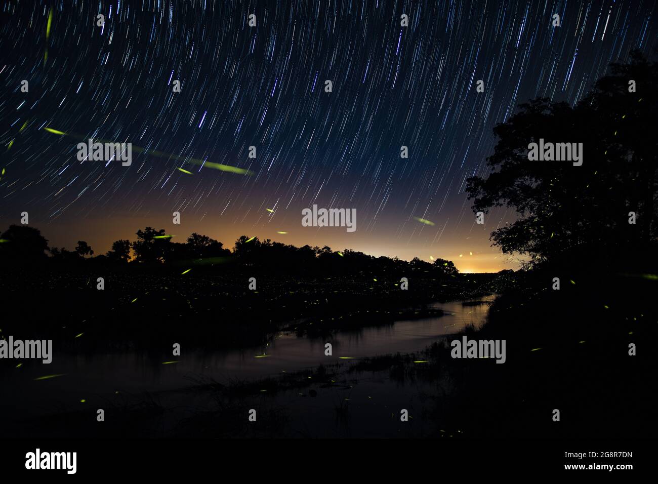 Firefly in river hi-res stock photography and images - Alamy